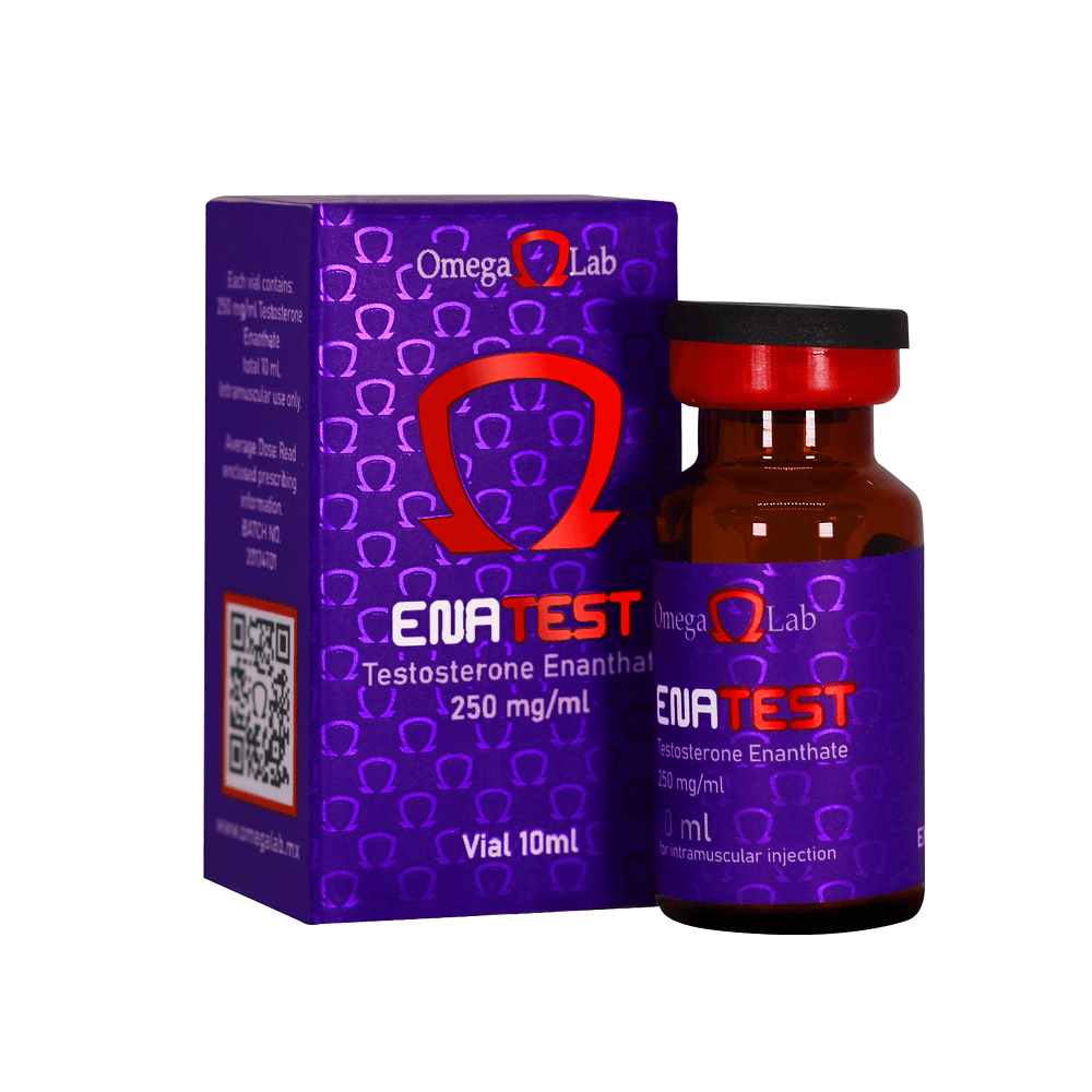ENA-TEST 250 MG ENANTATO DE TESTOSTERONA OMEGA LAB 10 ML – Corpofit